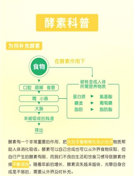 酵素的功效与作用有哪些_酵素真的可以减肥吗-第1张图片-山城妙识 酵素的功效与作用有哪些_酵素真的可以减肥吗-第1张图片-山城妙识