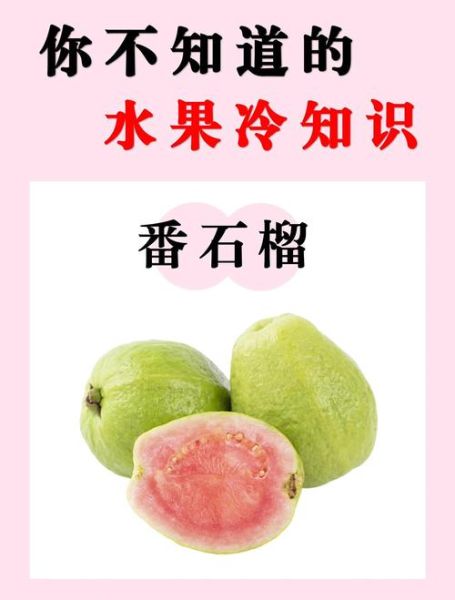 一天吃几个番石榴减肥最好_番石榴减肥正确吃法-第3张图片-山城妙识 一天吃几个番石榴减肥最好_番石榴减肥正确吃法-第3张图片-山城妙识