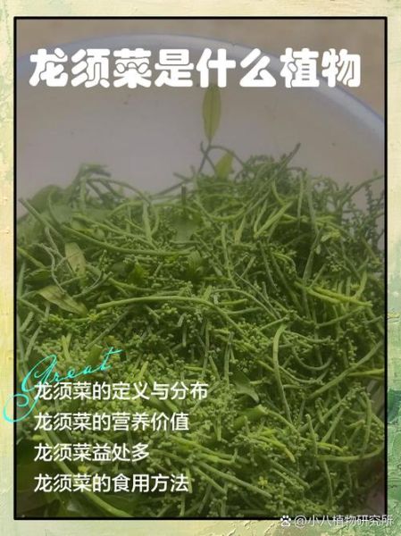 龙须菜不适宜人群_哪些人不能吃龙须菜-第2张图片-山城妙识