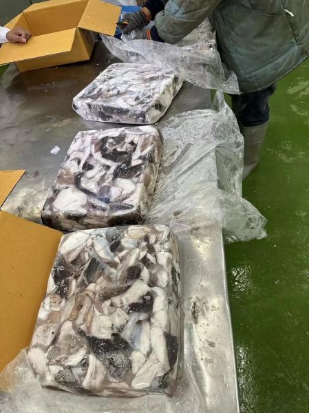 海香菇长什么样子_海香菇图片特征-第3张图片-山城妙识