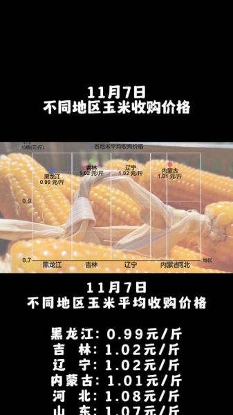 东北玉米价格最新行情2021_为什么波动这么大-第1张图片-山城妙识