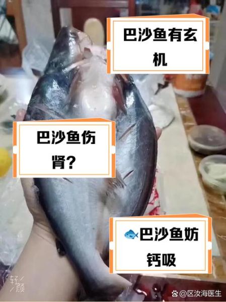 小孩能不能吃巴沙鱼_巴沙鱼对小孩的危害-第1张图片-山城妙识