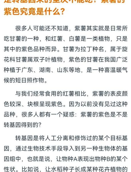 紫薯是转基因的吗_紫薯和转基因紫薯的区别-第1张图片-山城妙识