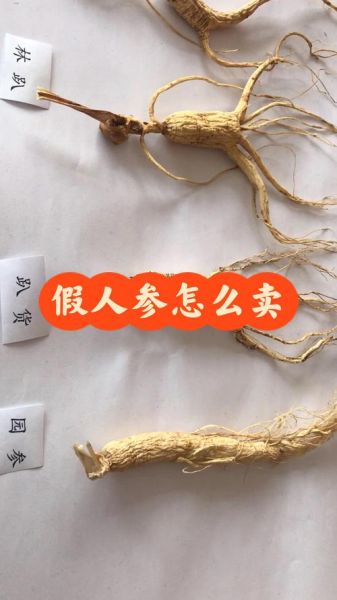 假人参图片怎么辨别_假人参图片有哪些特征-第2张图片-山城妙识