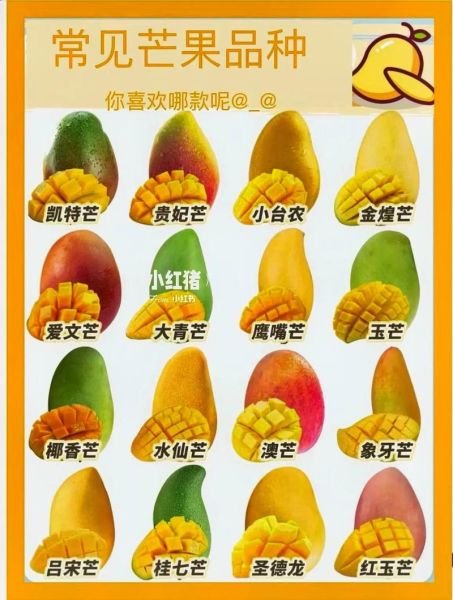 芒果图片大全_芒果品种怎么区分-第2张图片-山城妙识