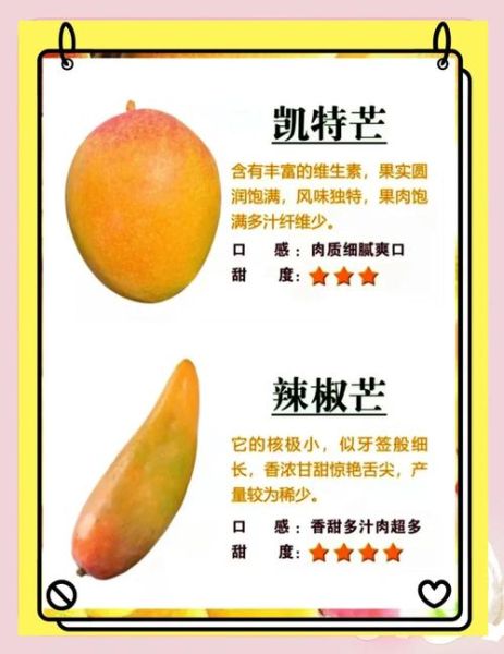 芒果图片大全_芒果品种怎么区分-第1张图片-山城妙识