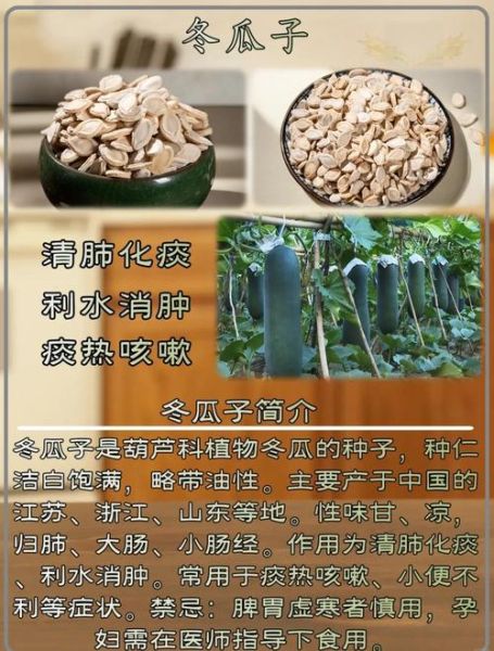 冬瓜子一天服用多少克_冬瓜子用量指南-第1张图片-山城妙识 冬瓜子一天服用多少克_冬瓜子用量指南-第1张图片-山城妙识