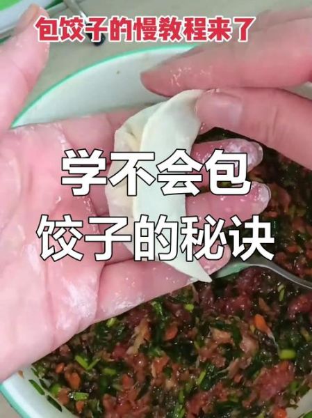 新手怎么包饺子_慢动作包饺子视频教程-第2张图片-山城妙识