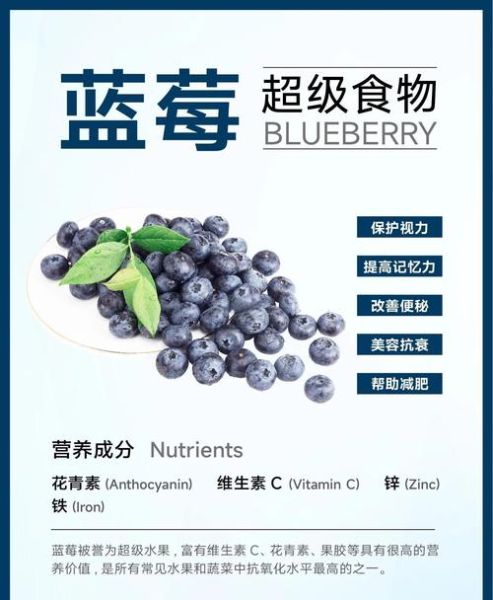 蓝莓怎么吃最有营养_蓝莓一天吃多少颗最好-第2张图片-山城妙识