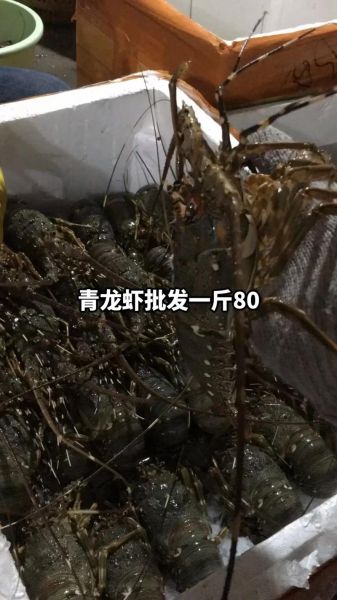 青龙虾多少钱一斤_青龙虾价格行情-第2张图片-山城妙识