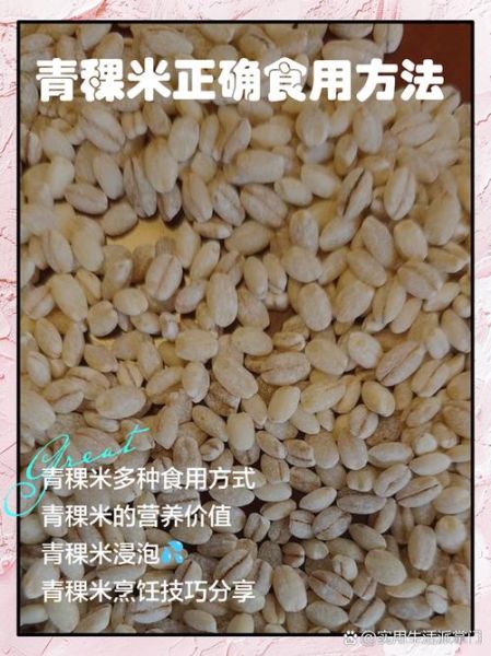 青稞米图片_青稞米怎么做好吃-第1张图片-山城妙识