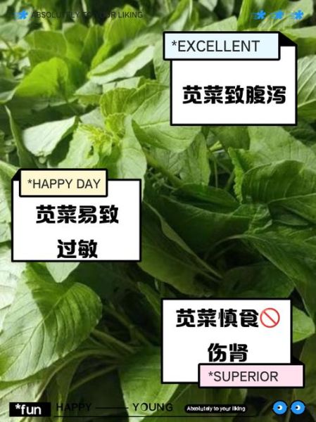 苋菜吃多了有什么坏处_苋菜副作用有哪些-第3张图片-山城妙识 苋菜吃多了有什么坏处_苋菜副作用有哪些-第3张图片-山城妙识