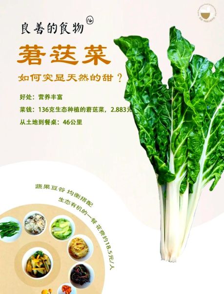 莙达菜怎么种_莙达菜营养价值-第2张图片-山城妙识 莙达菜怎么种_莙达菜营养价值-第2张图片-山城妙识