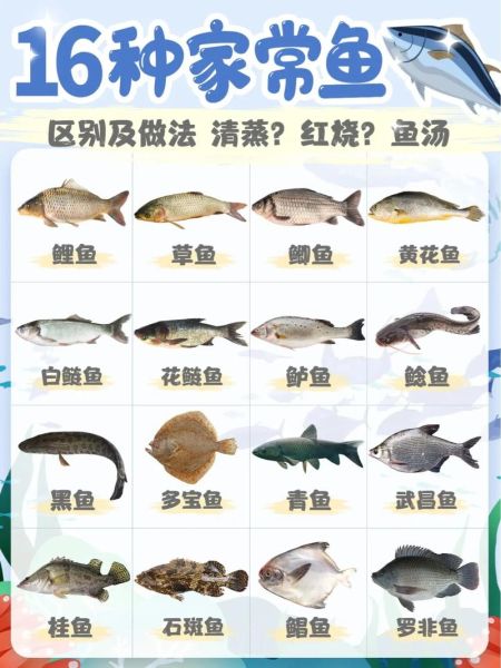 菜市场常见鱼类有哪些_如何挑选新鲜鱼-第1张图片-山城妙识