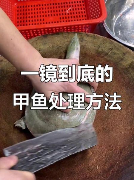 杀甲鱼的正确方法图解_甲鱼怎么处理干净-第2张图片-山城妙识