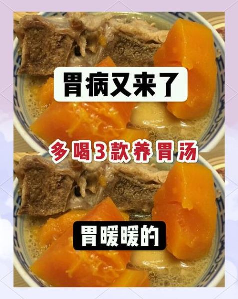 养胃食品有哪些_最好的养胃方法视频-第2张图片-山城妙识