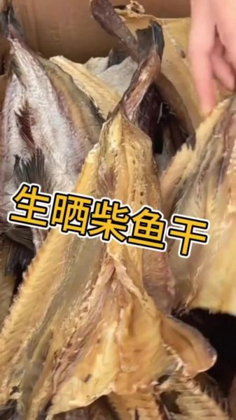 柴鱼干怎么保存_柴鱼干的营养价值-第2张图片-山城妙识