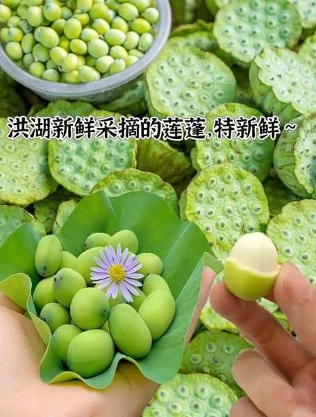 莲蓬能减肥吗_莲蓬怎么吃减肥效果好-第2张图片-山城妙识