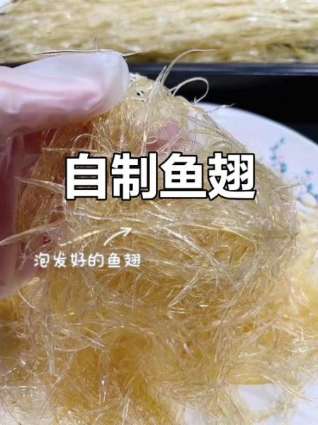 鱼翅丝怎么泡发_家常做法窍门-第1张图片-山城妙识