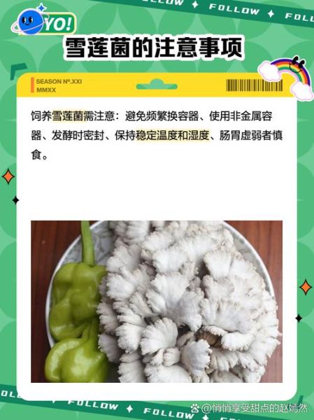 雪莲菌致癌是真的吗_雪莲菌安全食用指南-第3张图片-山城妙识