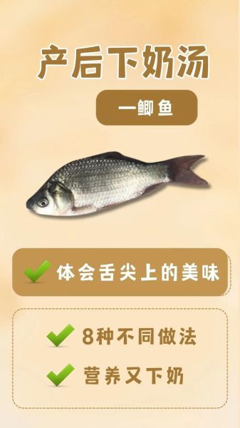 鲫鱼汤怎么做下奶最快_鲫鱼汤下奶做法-第1张图片-山城妙识 鲫鱼汤怎么做下奶最快_鲫鱼汤下奶做法-第1张图片-山城妙识