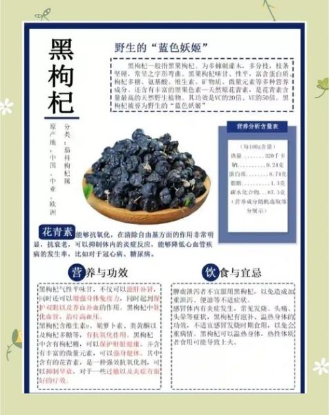 黑枸杞怎么泡水喝_黑枸杞泡水温度多少合适-第1张图片-山城妙识 黑枸杞怎么泡水喝_黑枸杞泡水温度多少合适-第1张图片-山城妙识