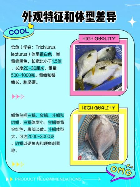 鲳鱼种类图片大全_如何区分常见鲳鱼品种-第2张图片-山城妙识 鲳鱼种类图片大全_如何区分常见鲳鱼品种-第2张图片-山城妙识