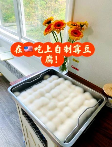霉豆腐怎么做_霉豆腐的制作方法视频-第1张图片-山城妙识 霉豆腐怎么做_霉豆腐的制作方法视频-第1张图片-山城妙识