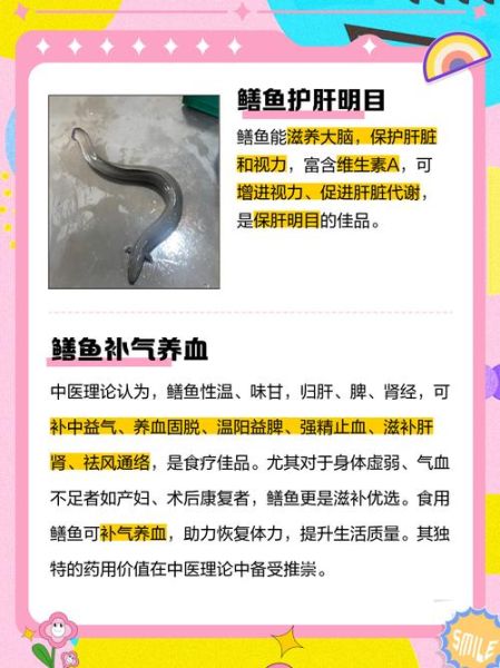 鳝鱼的营养价值_鳝鱼怎么吃最补-第2张图片-山城妙识