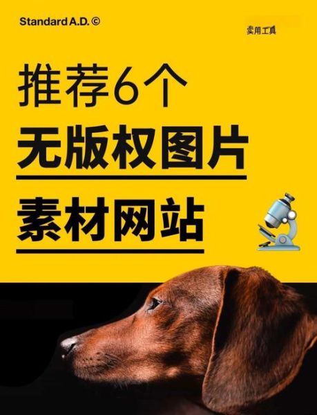高清图片素材网站有哪些_如何免费商用-第2张图片-山城妙识