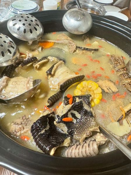 蛇肉炖鸡怎么做_蛇肉炖鸡的家常做法-第3张图片-山城妙识 蛇肉炖鸡怎么做_蛇肉炖鸡的家常做法-第3张图片-山城妙识