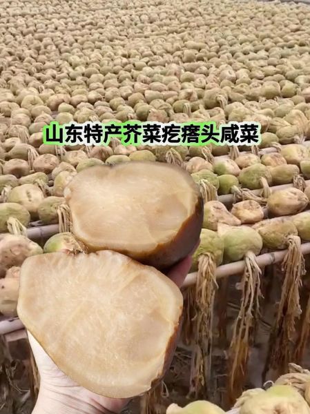 芥菜疙瘩的功效与作用_芥菜疙瘩怎么吃最健康-第2张图片-山城妙识 芥菜疙瘩的功效与作用_芥菜疙瘩怎么吃最健康-第2张图片-山城妙识