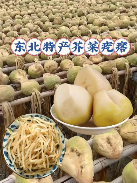 芥菜疙瘩的功效与作用_芥菜疙瘩怎么吃最健康-第3张图片-山城妙识 芥菜疙瘩的功效与作用_芥菜疙瘩怎么吃最健康-第3张图片-山城妙识