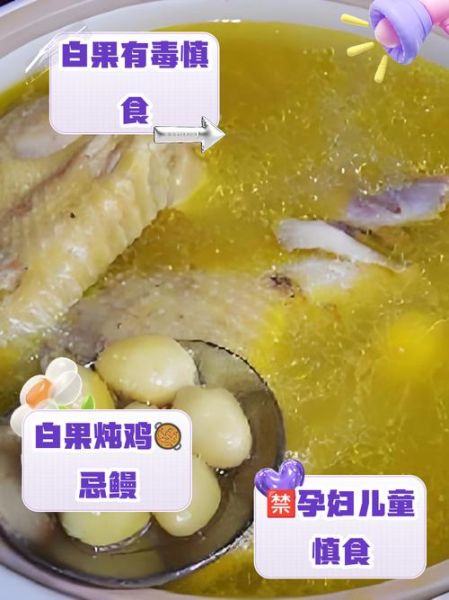 白果炖鸡一次最多吃几颗白果_白果中毒剂量是多少-第2张图片-山城妙识