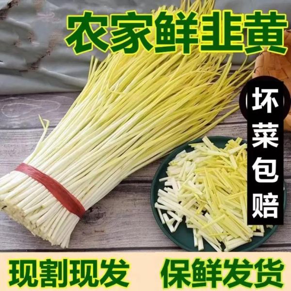 韭黄是什么季节_韭黄几月份最鲜嫩-第3张图片-山城妙识