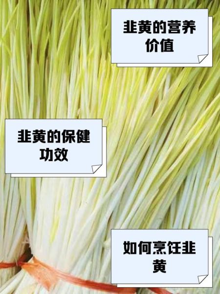 韭黄是什么季节_韭黄几月份最鲜嫩-第1张图片-山城妙识