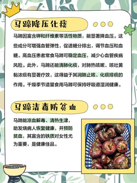 马蹄治什么病_马蹄的功效与作用-第1张图片-山城妙识 马蹄治什么病_马蹄的功效与作用-第1张图片-山城妙识