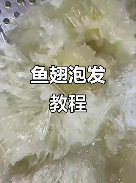 鱼翅怎么泡发_鱼翅的家常做法步骤-第2张图片-山城妙识