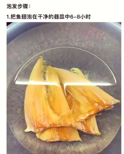 鱼翅怎么泡发_鱼翅的家常做法步骤-第1张图片-山城妙识