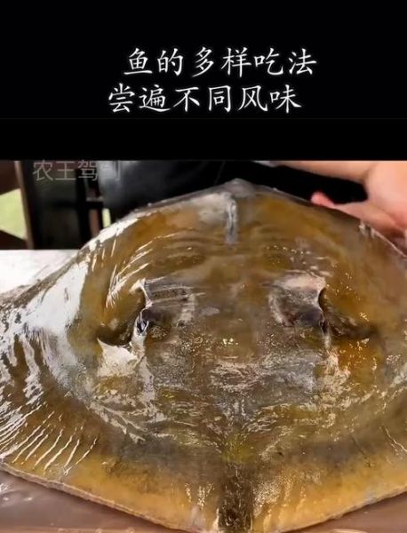 魟鱼能吃吗_魟鱼怎么做好吃-第1张图片-山城妙识