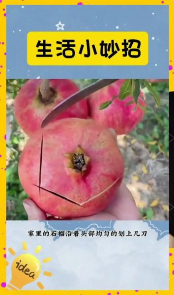 石榴怎么剥皮_石榴快速剥皮技巧-第2张图片-山城妙识