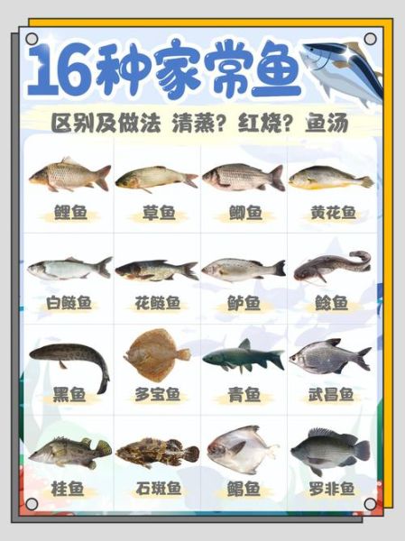鲈鱼和多宝鱼哪个营养好_鲈鱼和多宝鱼营养价值对比-第2张图片-山城妙识