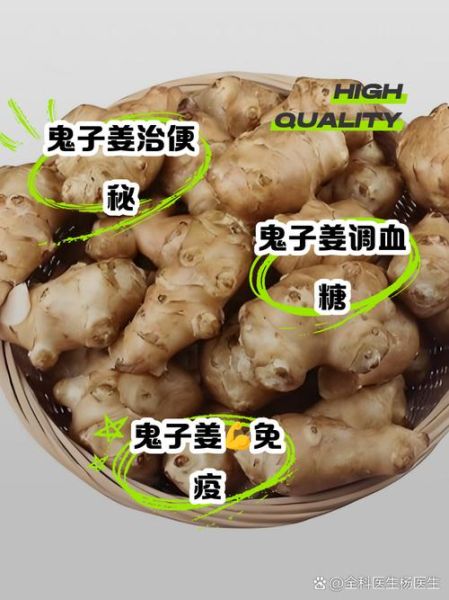 鬼子姜怎么吃_鬼子姜的做法大全-第3张图片-山城妙识 鬼子姜怎么吃_鬼子姜的做法大全-第3张图片-山城妙识