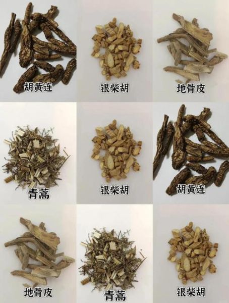 阴虚火旺吃什么药效果好_阴虚火旺吃什么中成药-第3张图片-山城妙识 阴虚火旺吃什么药效果好_阴虚火旺吃什么中成药-第3张图片-山城妙识