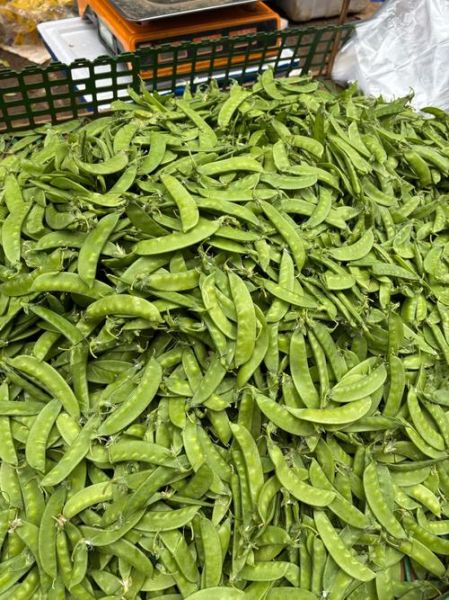 豌豆荚官网下载安全吗_豌豆荚怎么安装到手机-第1张图片-山城妙识