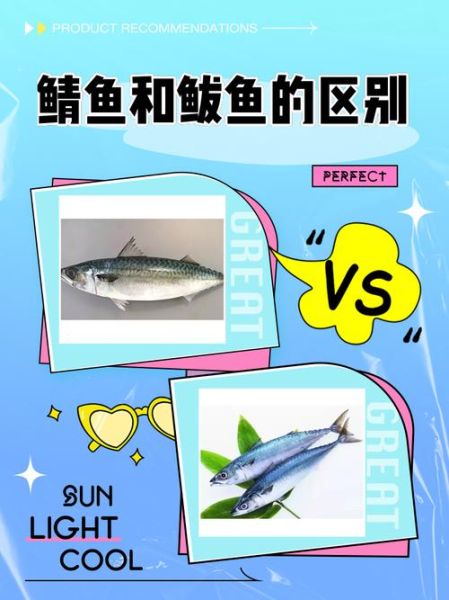 鲐鲅鱼怎么读_鲐鲅鱼和鲅鱼的区别-第2张图片-山城妙识