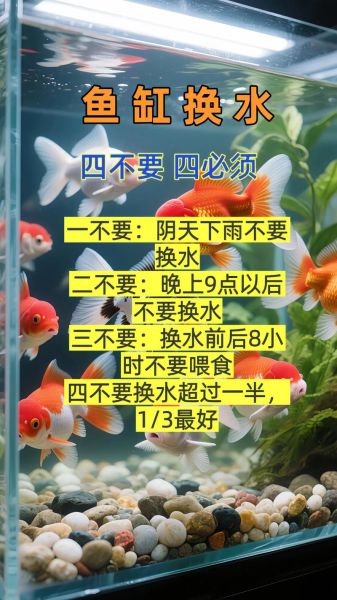 金鱼怎么养_金鱼多久换一次水-第3张图片-山城妙识 金鱼怎么养_金鱼多久换一次水-第3张图片-山城妙识