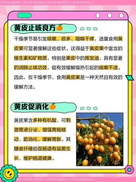 黄皮的功效与作用是什么_黄皮怎么吃最养人-第3张图片-山城妙识 黄皮的功效与作用是什么_黄皮怎么吃最养人-第3张图片-山城妙识