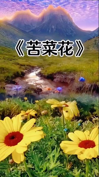 苦菜花歌曲原唱是谁_苦菜花歌词背后的故事-第1张图片-山城妙识
