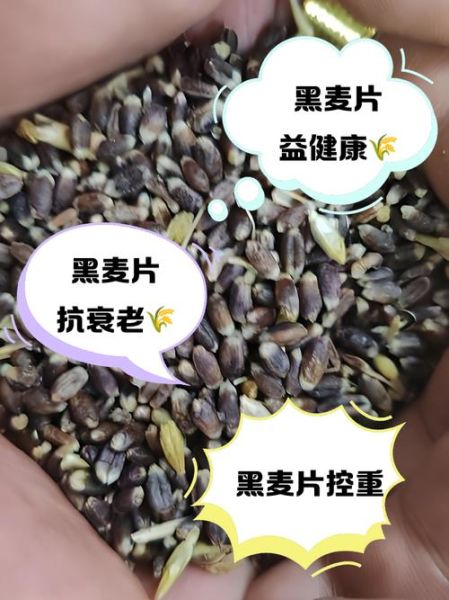 黑麦的功效与作用_黑麦怎么吃最营养-第2张图片-山城妙识 黑麦的功效与作用_黑麦怎么吃最营养-第2张图片-山城妙识